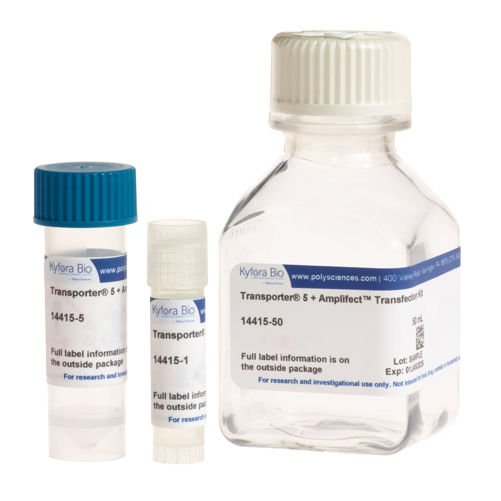 Polyethylenimine (PEI) Transfection Reagents | Kyfora Bio