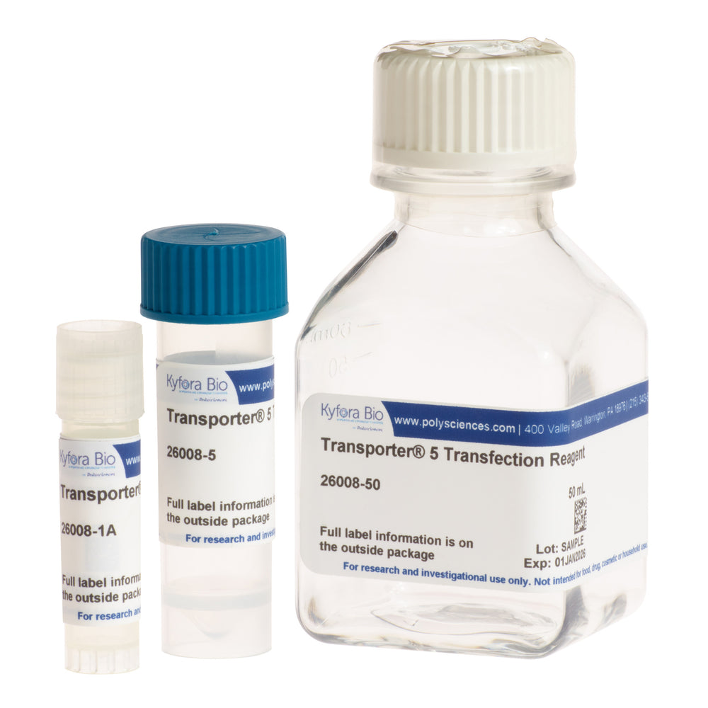 Polyethylenimine (PEI) Transfection Reagents | Kyfora Bio